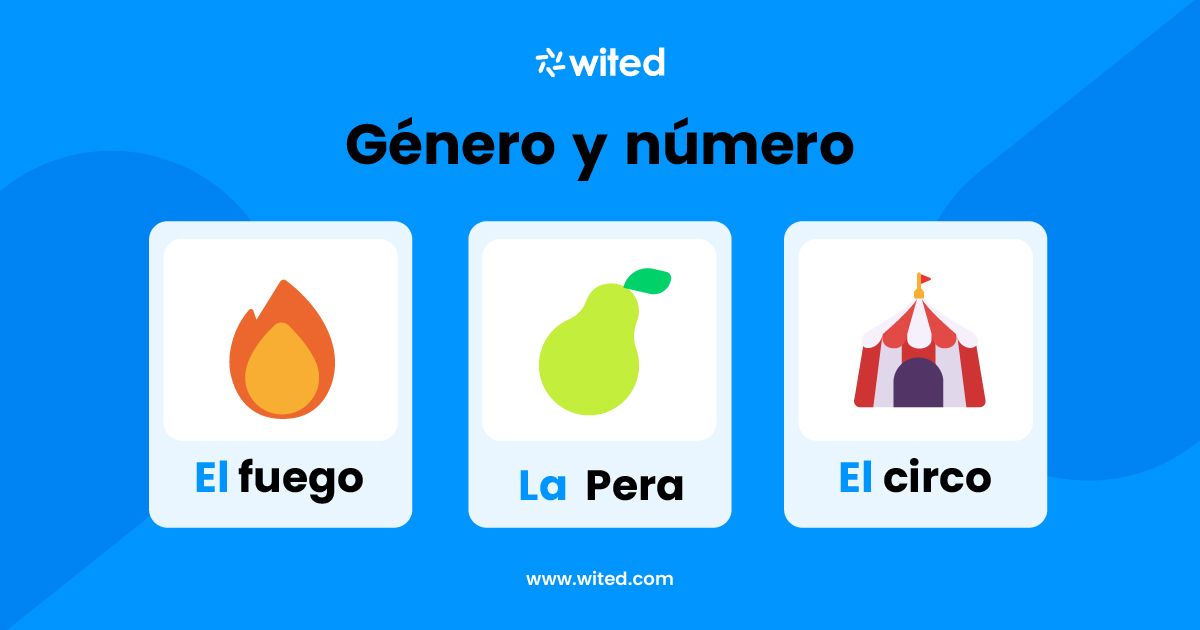 Género y número | Wited